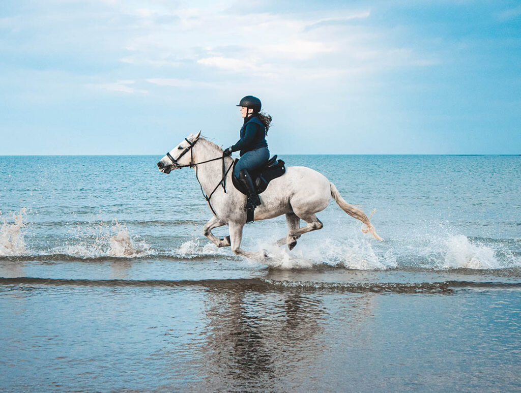 Messinian Bay Hotel | Διακοπές στην πόλη της Καλαμάτας